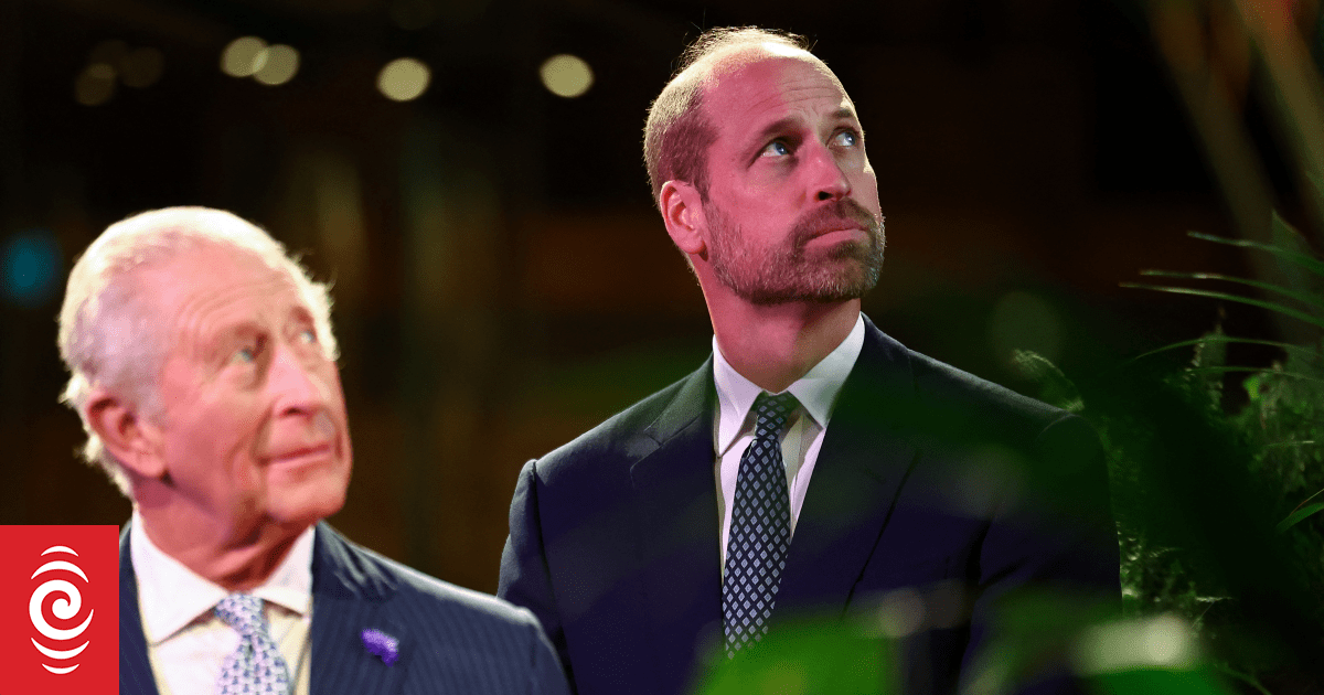 King Charles and Prince William throw weight behind upcoming COP summit ...