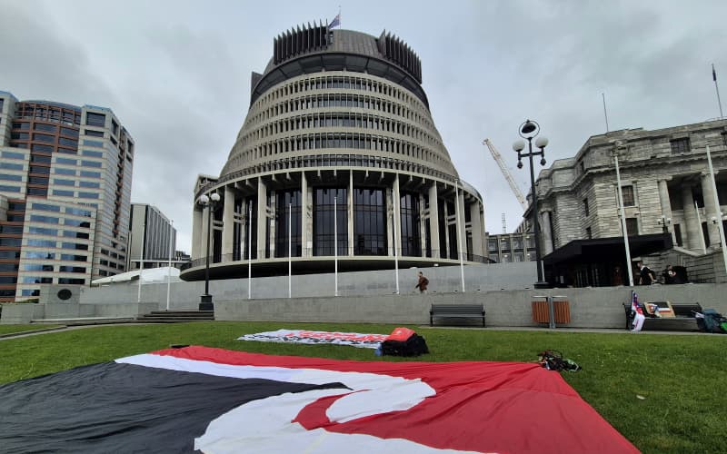 Treaty Principles Bill to put rookie MPs to the test | RNZ