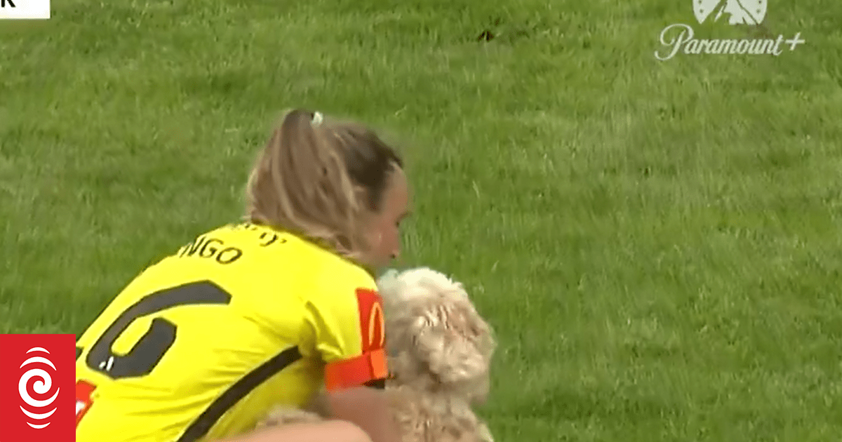 Pooch's pitch invasion a hit during Phoenix A-League women's match ...