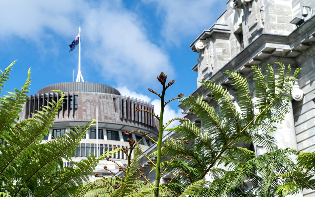 Politics by Night with Anna Whyte | RNZ
