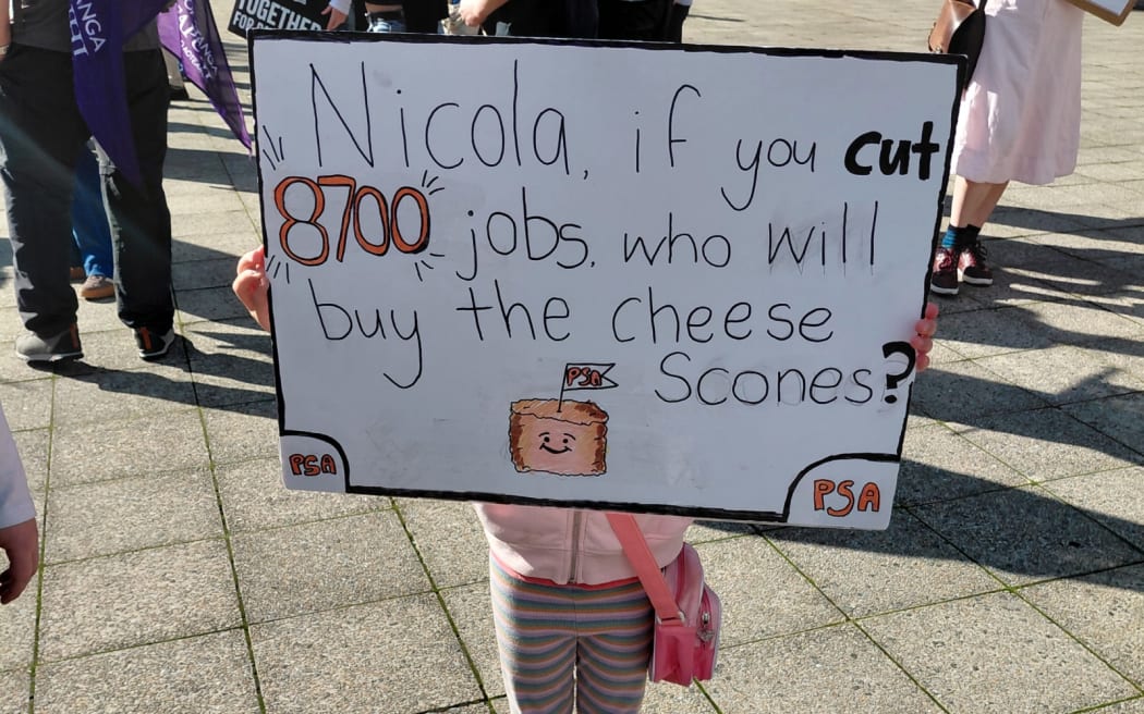 Hundreds gather in Wellington for PSA protest against proposed public ...