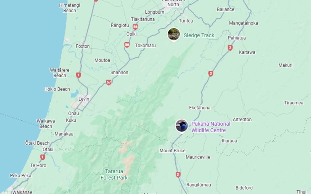 Person dead, three critically wounded in Horowhenua shooting | RNZ News