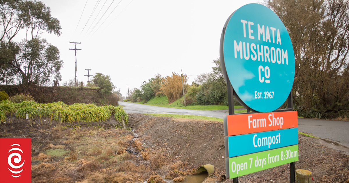 Fruit and Vege Report with Glenn Forsyth | RNZ