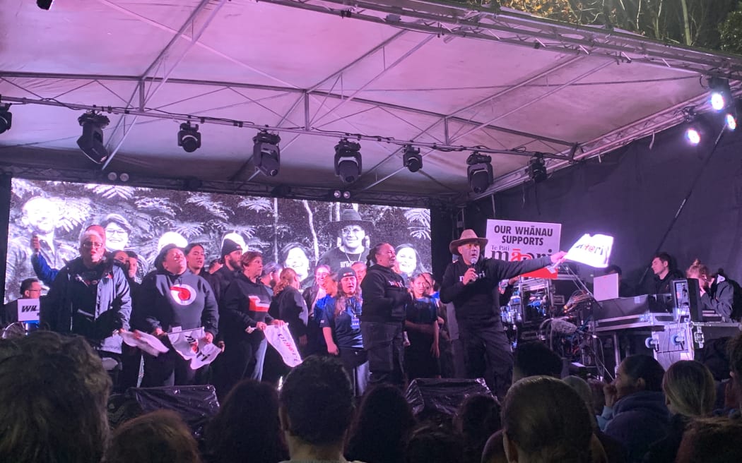 Te Pāti Māori says they will push for capital gains tax at party launch ...