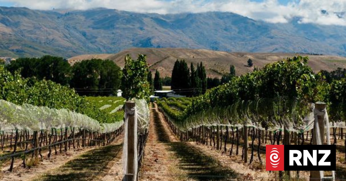 Waipara soils map to help winemakers with marketing | RNZ