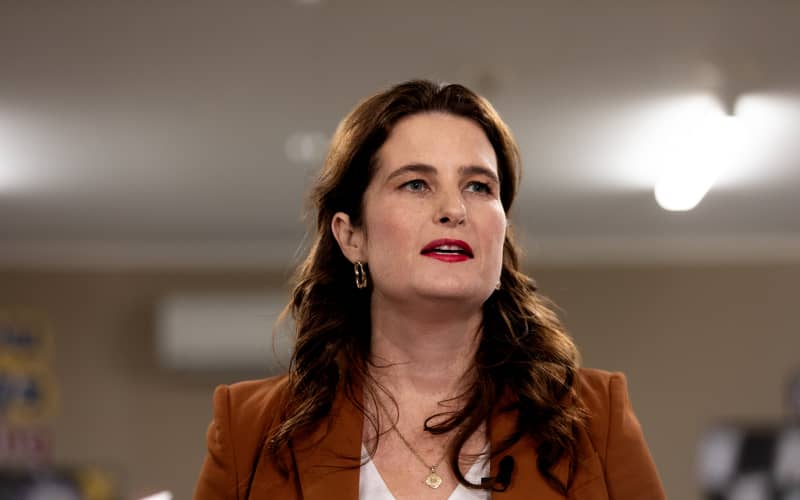 'When the Māori economy succeeds, the economy succeeds': Nicola Willis ...