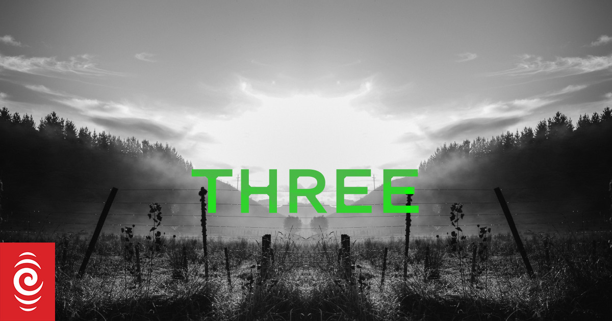 The Mr Big Operation on David Lyttle | RNZ