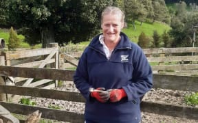 'Big concern' as farmers weeks behind fuel drops amid shortages | RNZ News