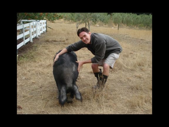 Moon Over Martinborough | A Gallery from Country Life | RNZ National