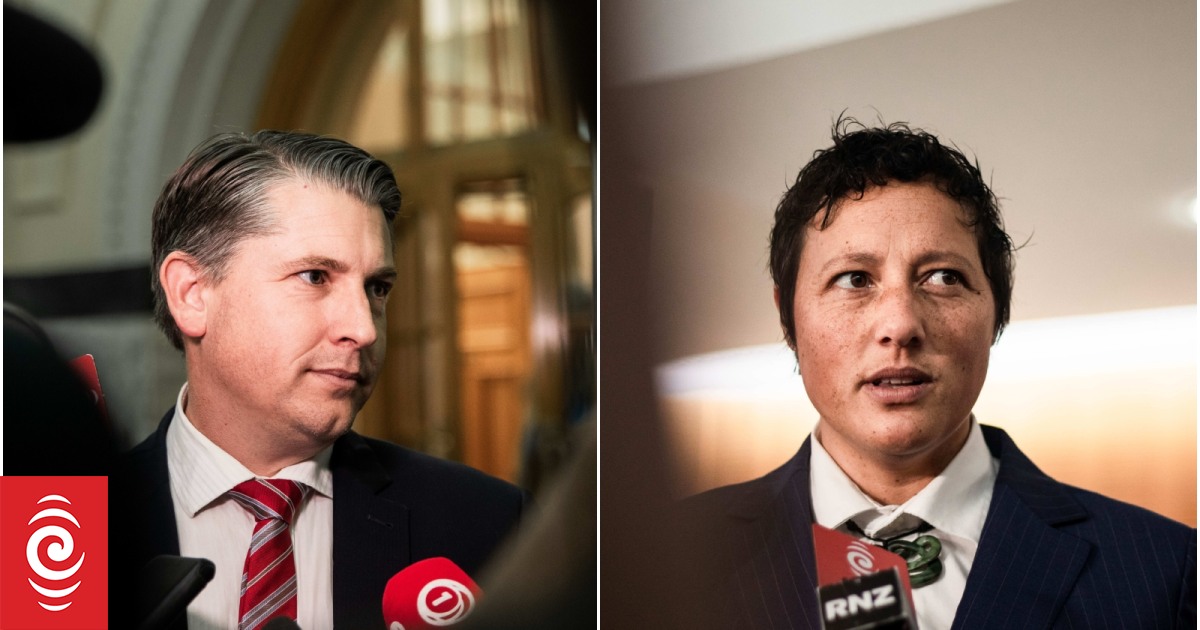 Michael Wood and Kiri Allan return to Parliament | RNZ News