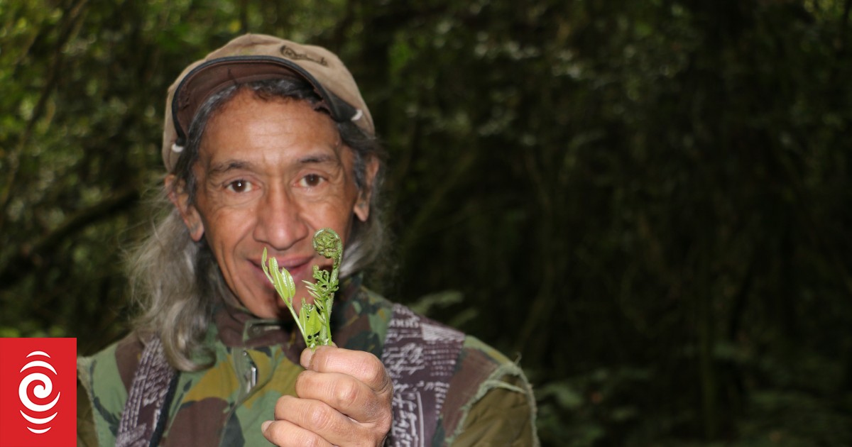 Health and Wellbeing: Te Ahi Kaa talks with Māori Chefs | RNZ