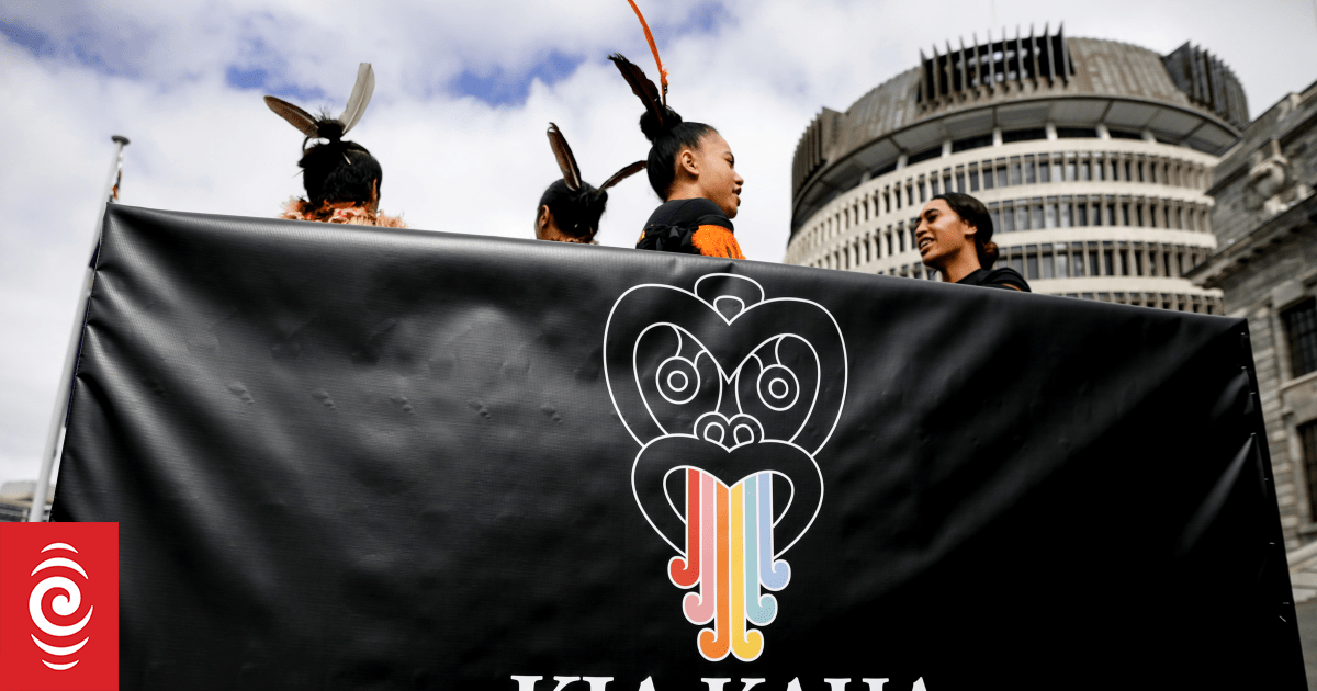 MPs celebrate Māori Language Week by arguing … in te reo | RNZ News