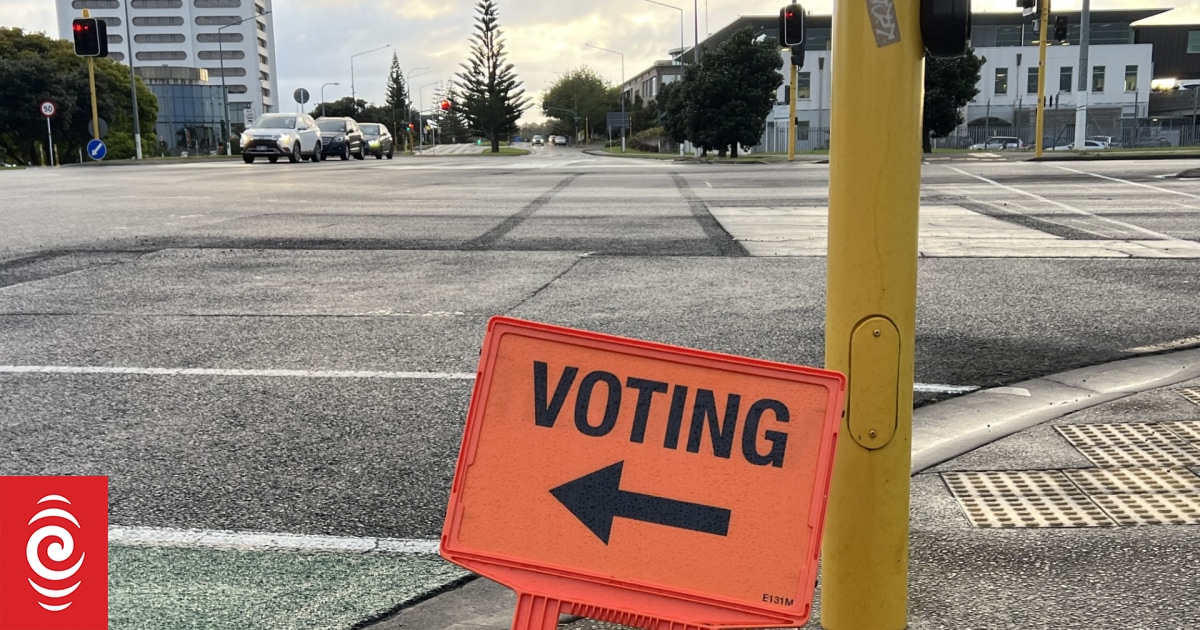 最后两天！海外选民仍有时间进行注册并投票 | RNZ News