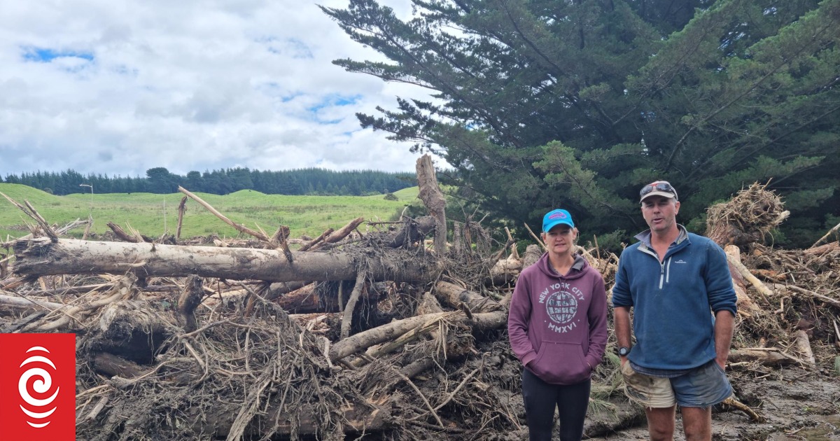 Cyclone Gabrielle: Efforts under way to support farmers, growers | RNZ News