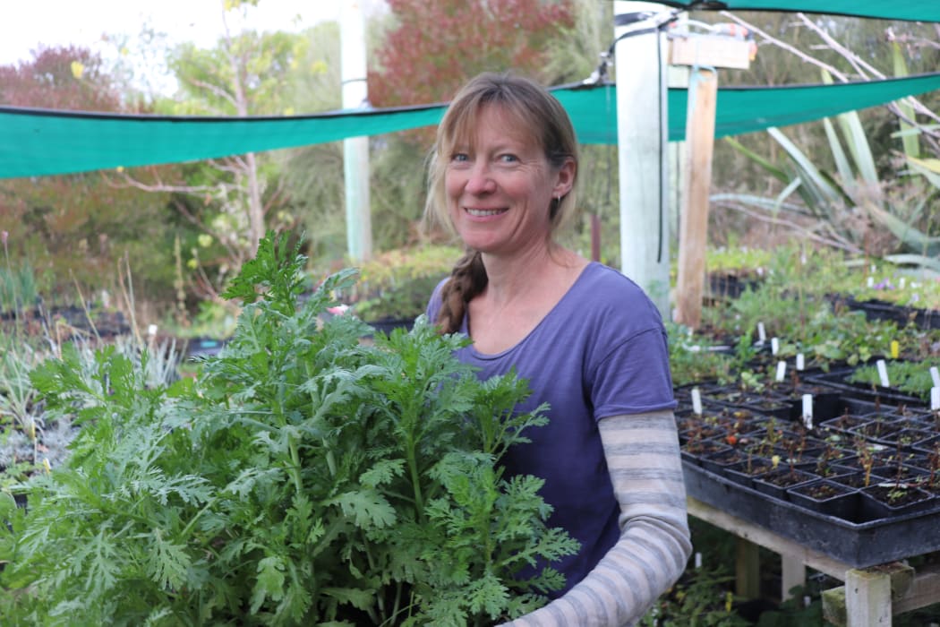 Gardeners gather together in aid of elderly tenant | RNZ News