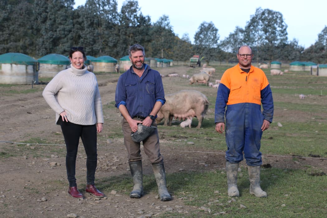 Piglets go back to the same teat, says free-range pig farmer | RNZ