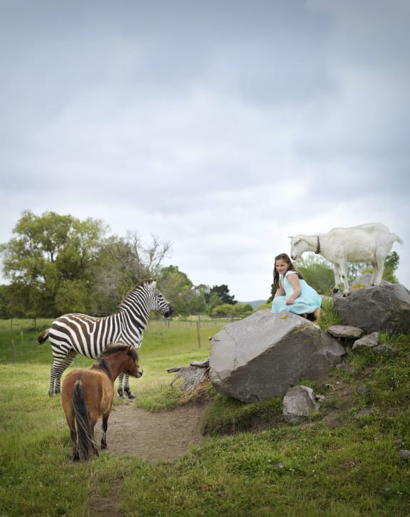 Animals helping children to heal | A Gallery from Nine To Noon | RNZ ...