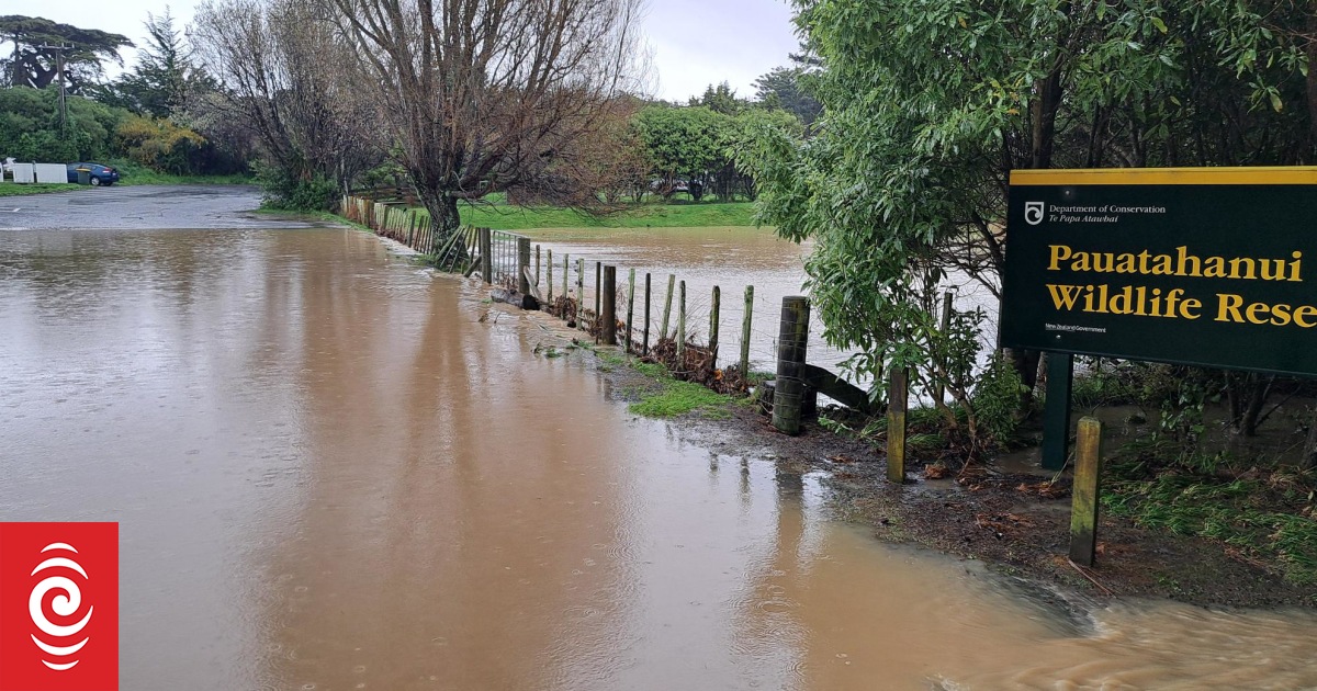 Widespread flooding North of Porirua as Wellington rain continues | RNZ