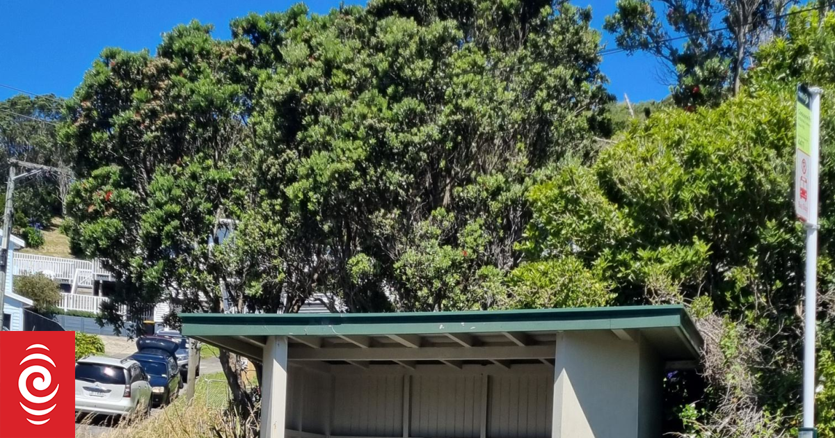 Man wielding hedge trimmer blade threatens mum and baby, tasered by ...