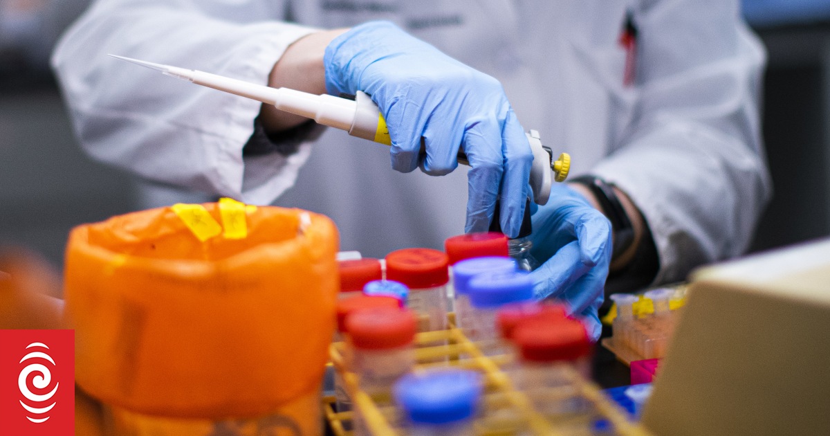 Coronavirus: The difference between suspected and probable cases | RNZ News