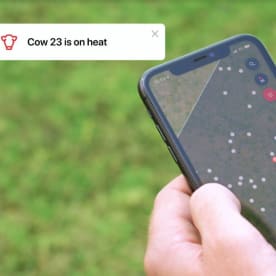 Craig Piggott - From space rockets to 'cowgorithms' | RNZ