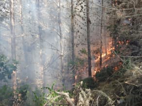 Fire and Emergency's preparations for climate change and increasing ...