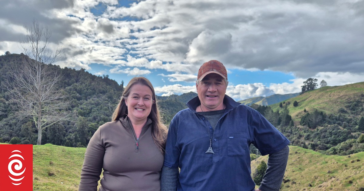 Country Life: Carving out their own niche | RNZ News