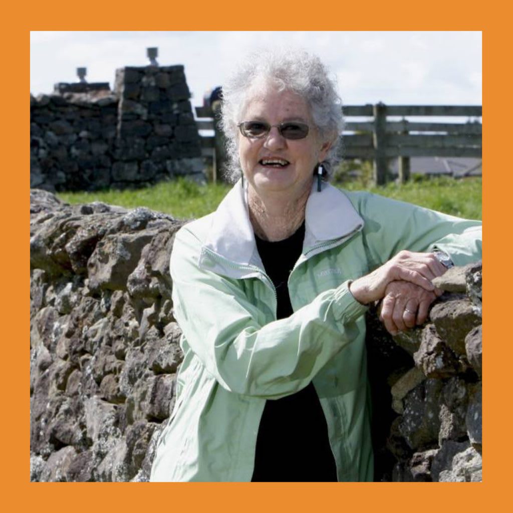 In praise of Stone Walls | RNZ