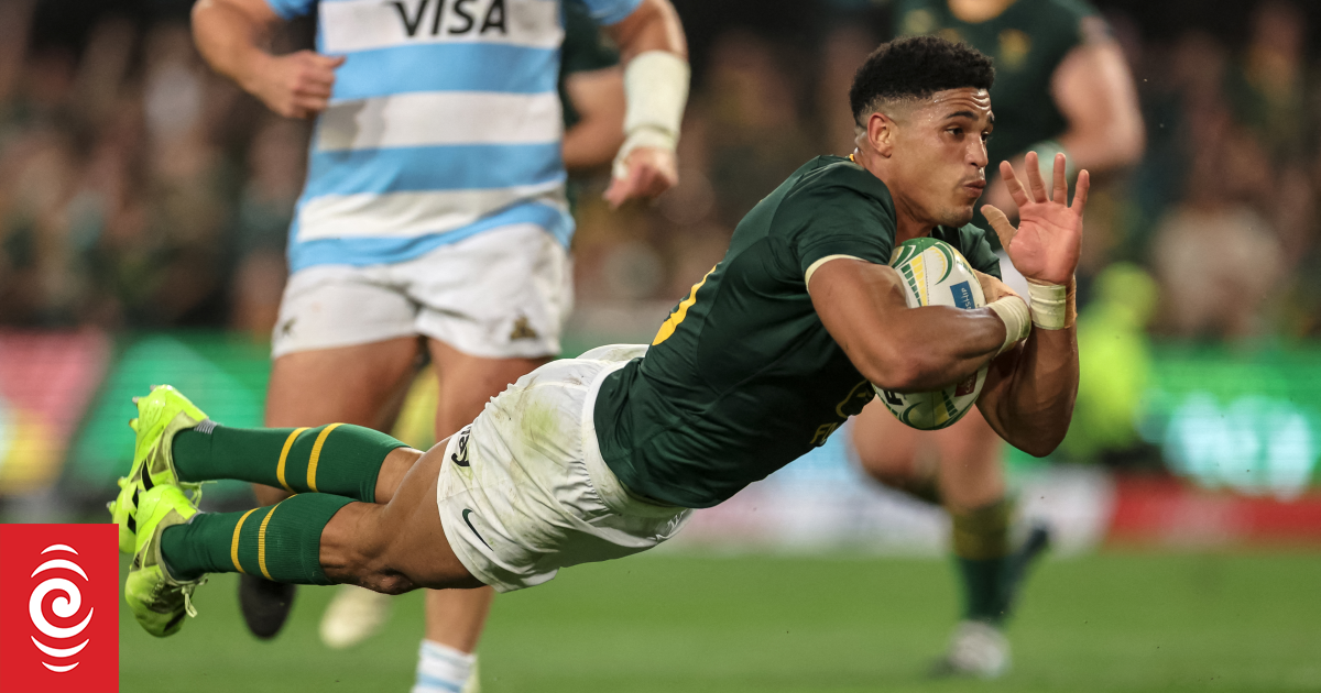 Springboks dominate World Rugby's Dream Team of the Year | RNZ News