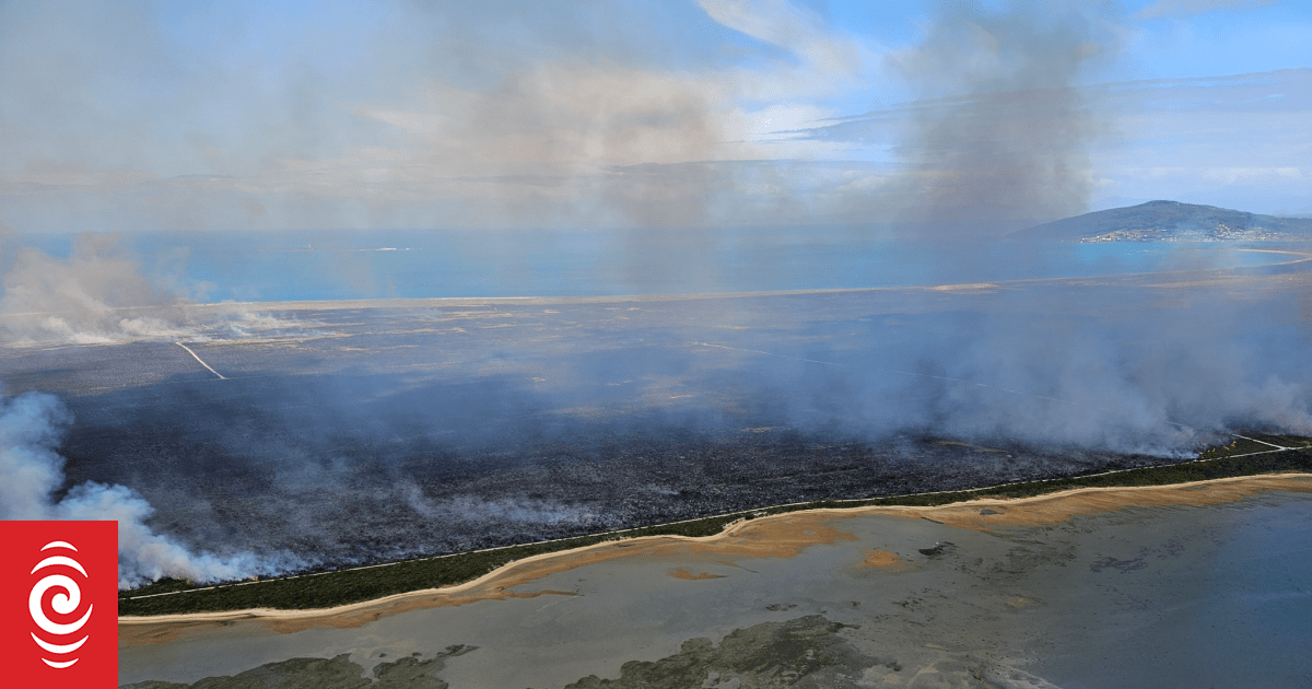 Tiwai Point blaze under control after spreading over 1200ha of ...