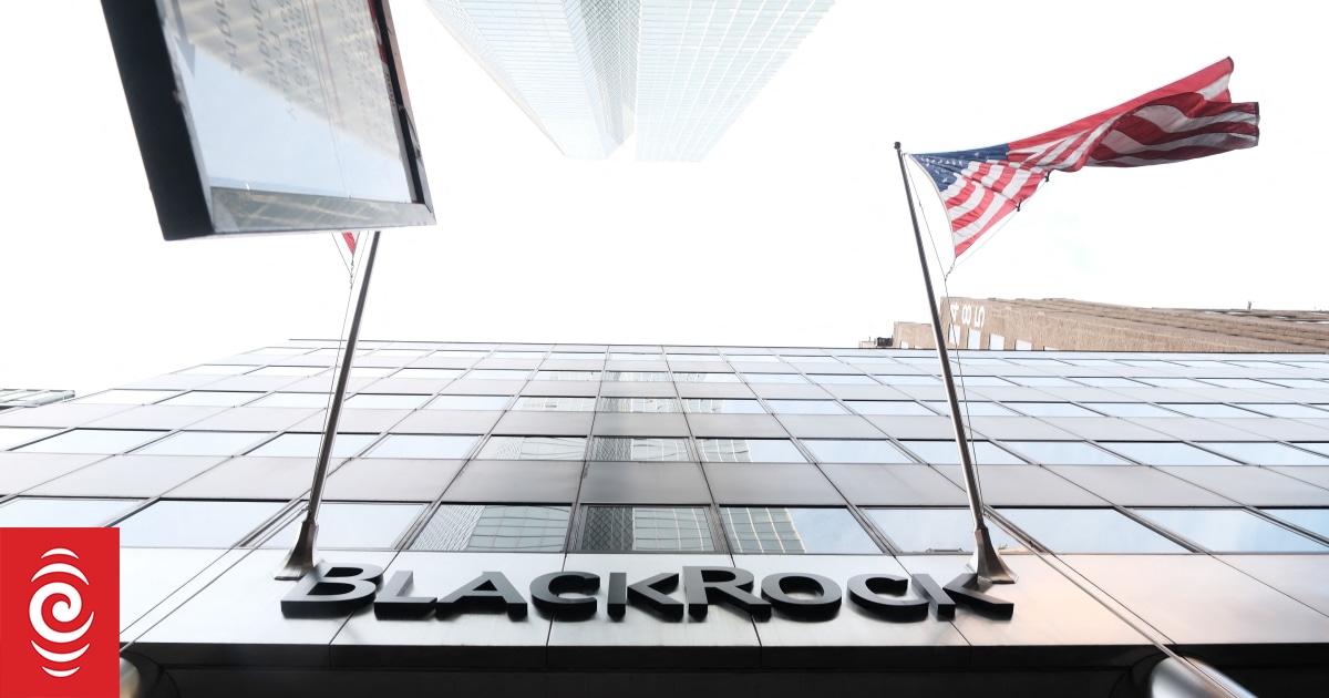 Brett Christopher: Do asset managers own the world? | RNZ