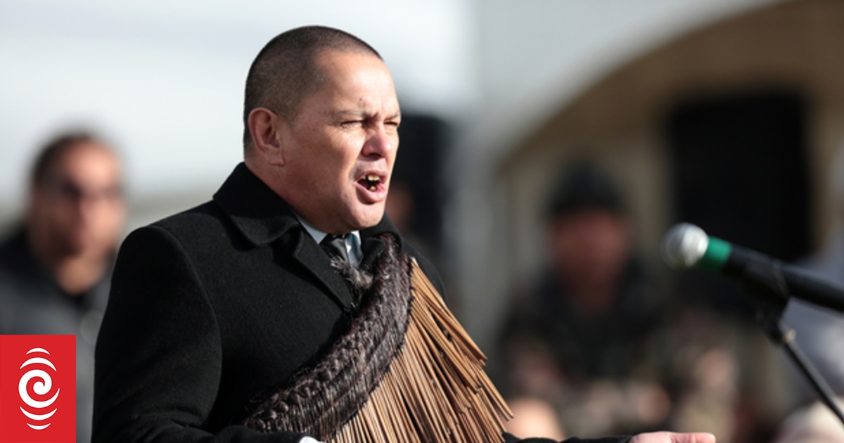 Crown and iwi appoint new ‘face and voice’ of Whanganui River | RNZ News