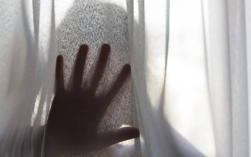 Royal Commission criticised for slow action on abuse documents | RNZ