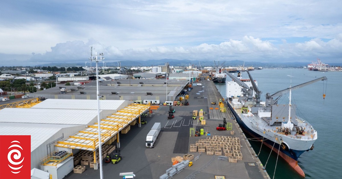 More than a million trays of kiwifruit to be destroyed after mice found ...