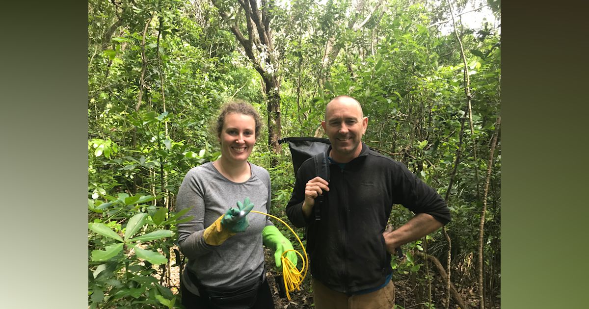 Afternoons for Wednesday 15 March 2023 Afternoons | RNZ