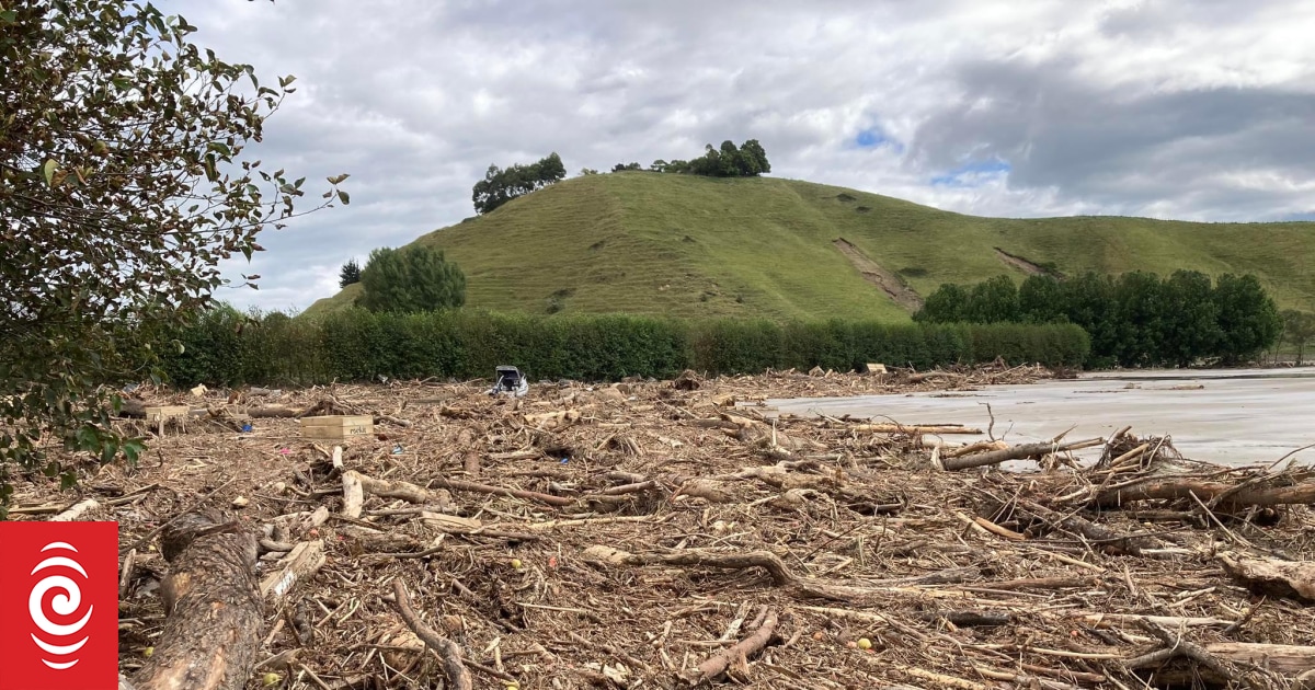 Cyclone Gabrielle: Most pine wood debris was from erosion, not slash ...