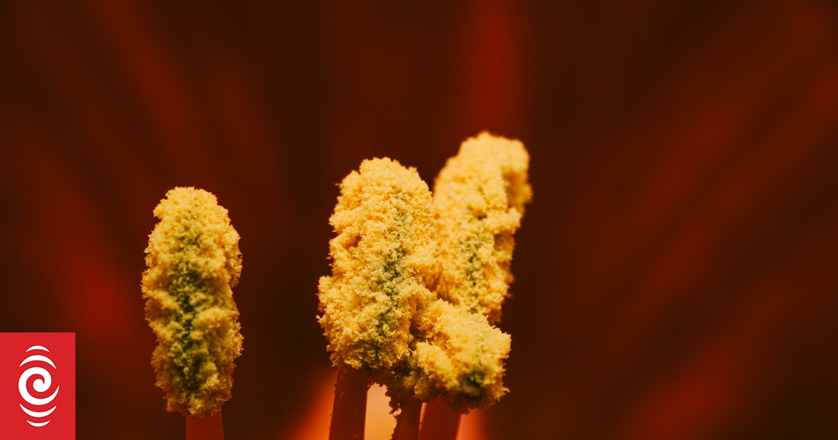 Our Changing World – Trapping pollen | RNZ
