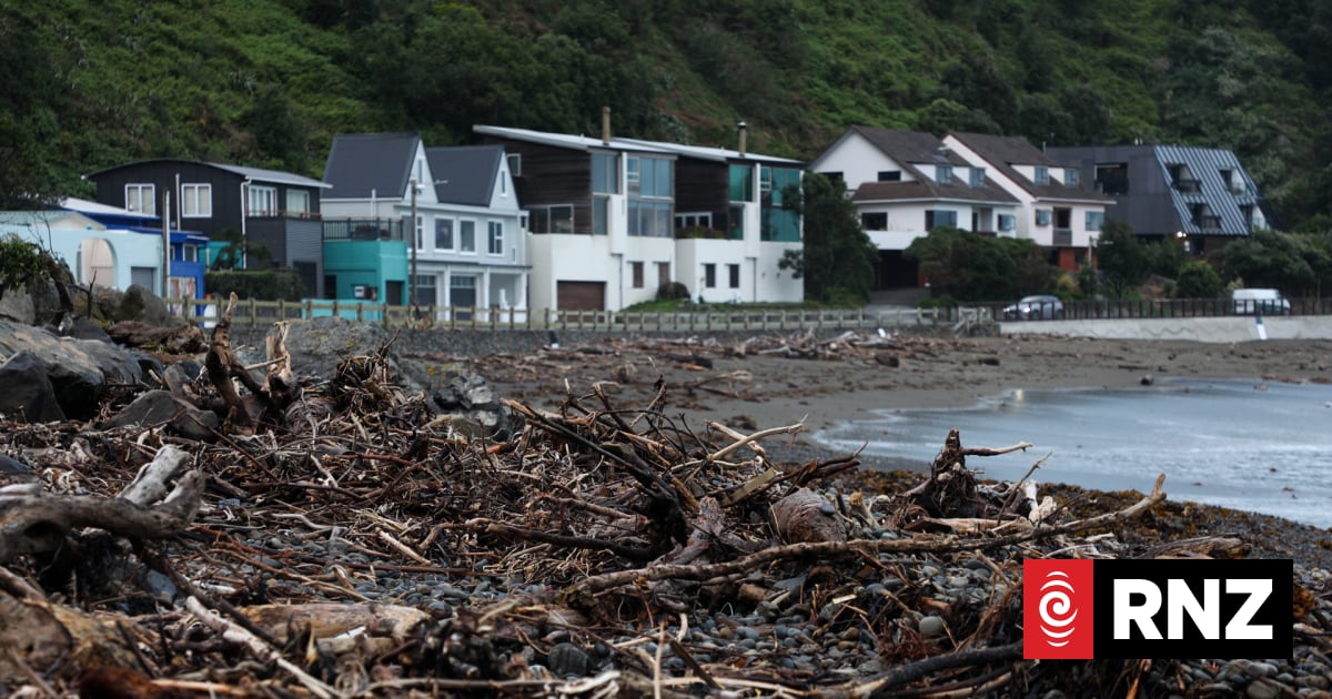 Wellington weather: Clean-up expected to begin, but warning still in ...