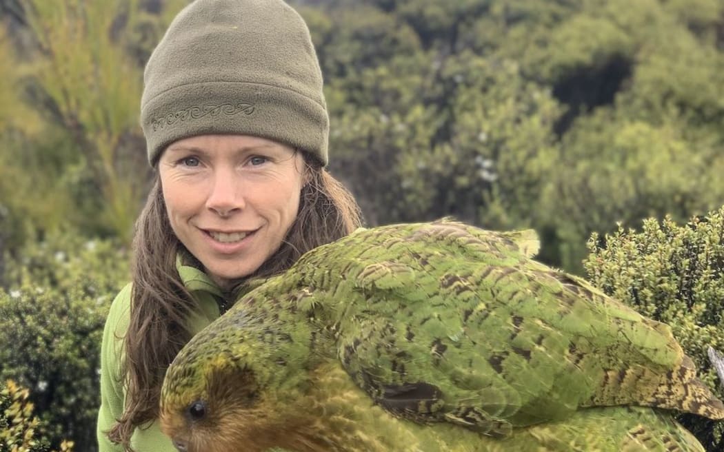Kākāpō to live on mainland for first time in almost 40 years | RNZ News
