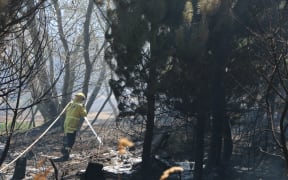 50 firefighters continue to dampen hotspots of Canterbury fire | RNZ News