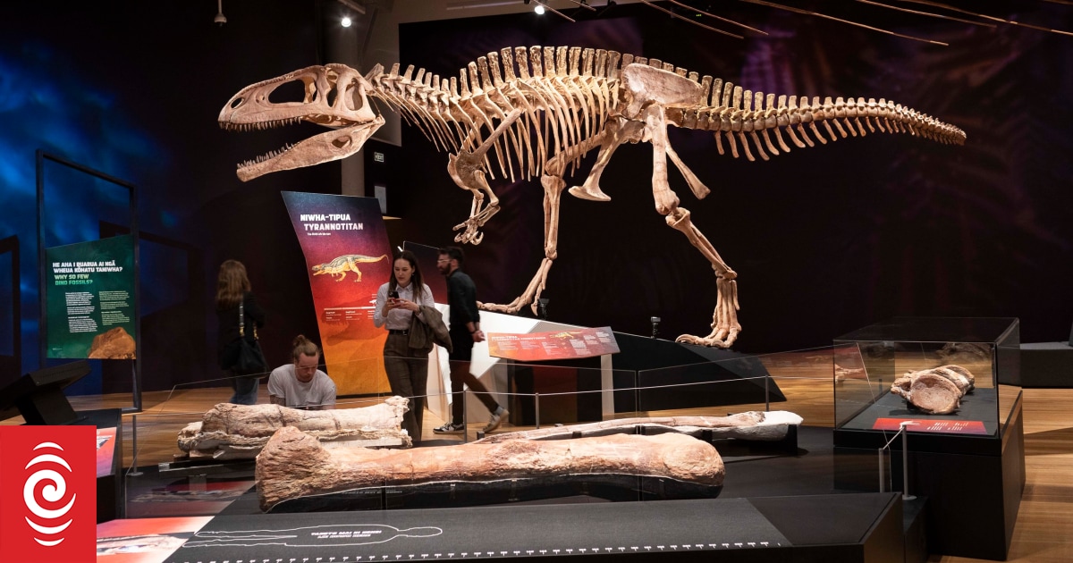 Our Changing World – Dinosaurs of Patagonia | RNZ