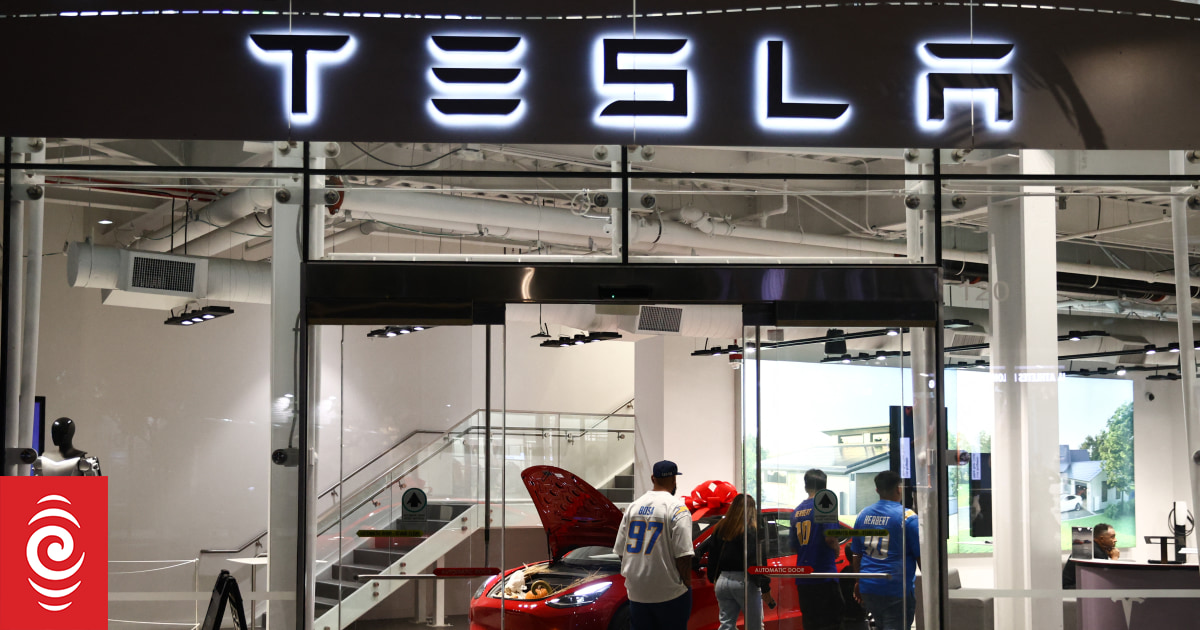 Tesla cuts prices in China, Germany and around globe after US | RNZ News