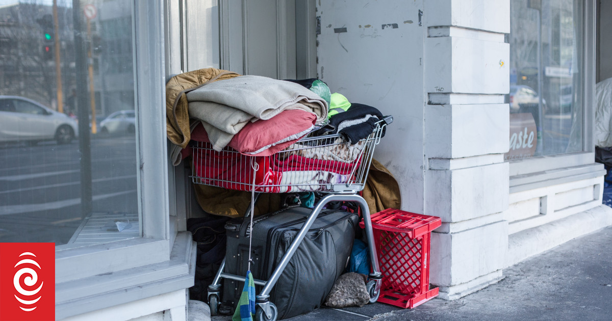 Homeless missing out on vital psychiatric care - researcher | RNZ News