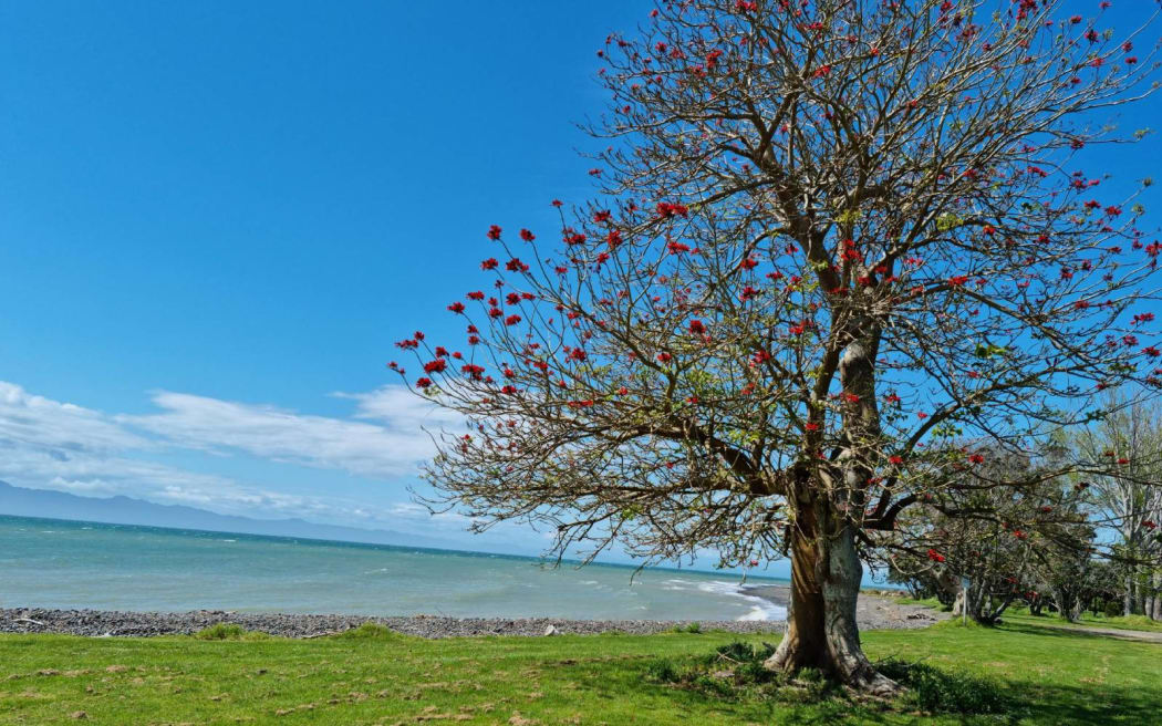 Action to keep Kaiaua above water for next 100 years | RNZ News