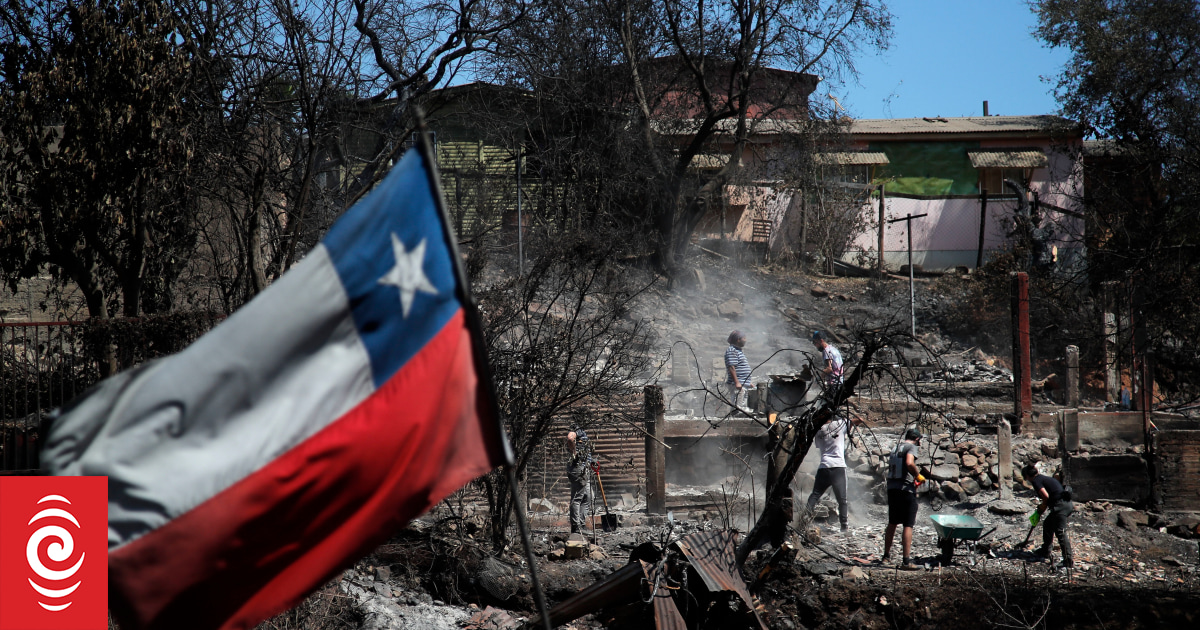 Chilean vet helps dogs, cats and rabbits injured in wildfires | RNZ News