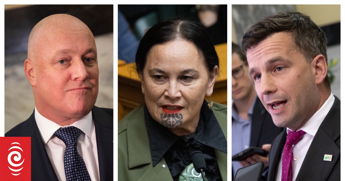 Te Pati Maori and National have 'nothing in common' - Ngarewa-Packer | RNZ