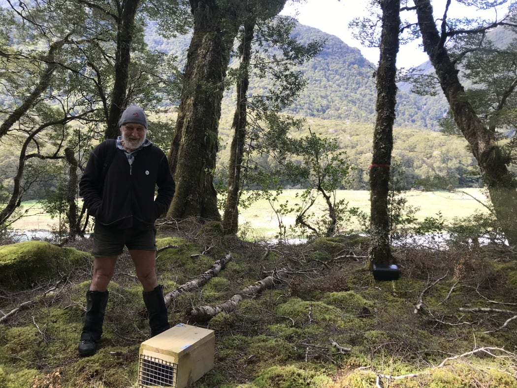 Monitoring the Makarora mohua | RNZ