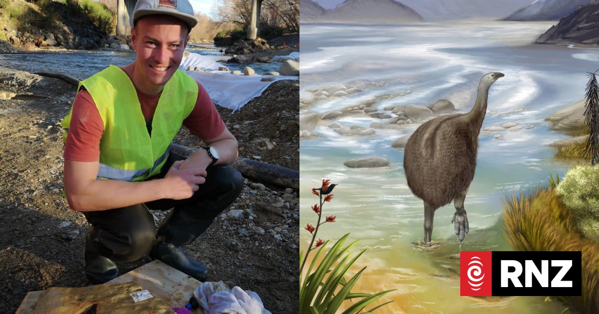 South Island's first moa footprints are millions of years old - study | RNZ