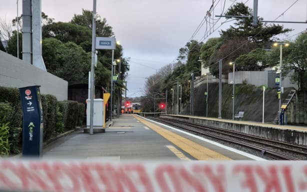 Too early to determine cause of Wellington train crash, officials say | RNZ