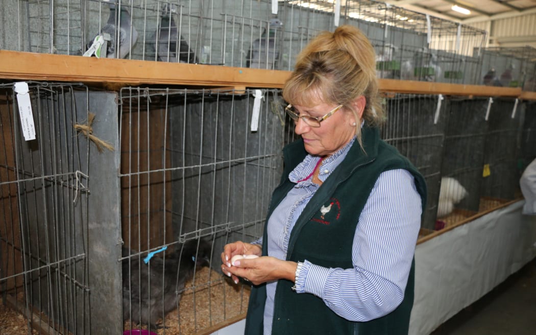 A quacking good win for Willow the Duck | RNZ